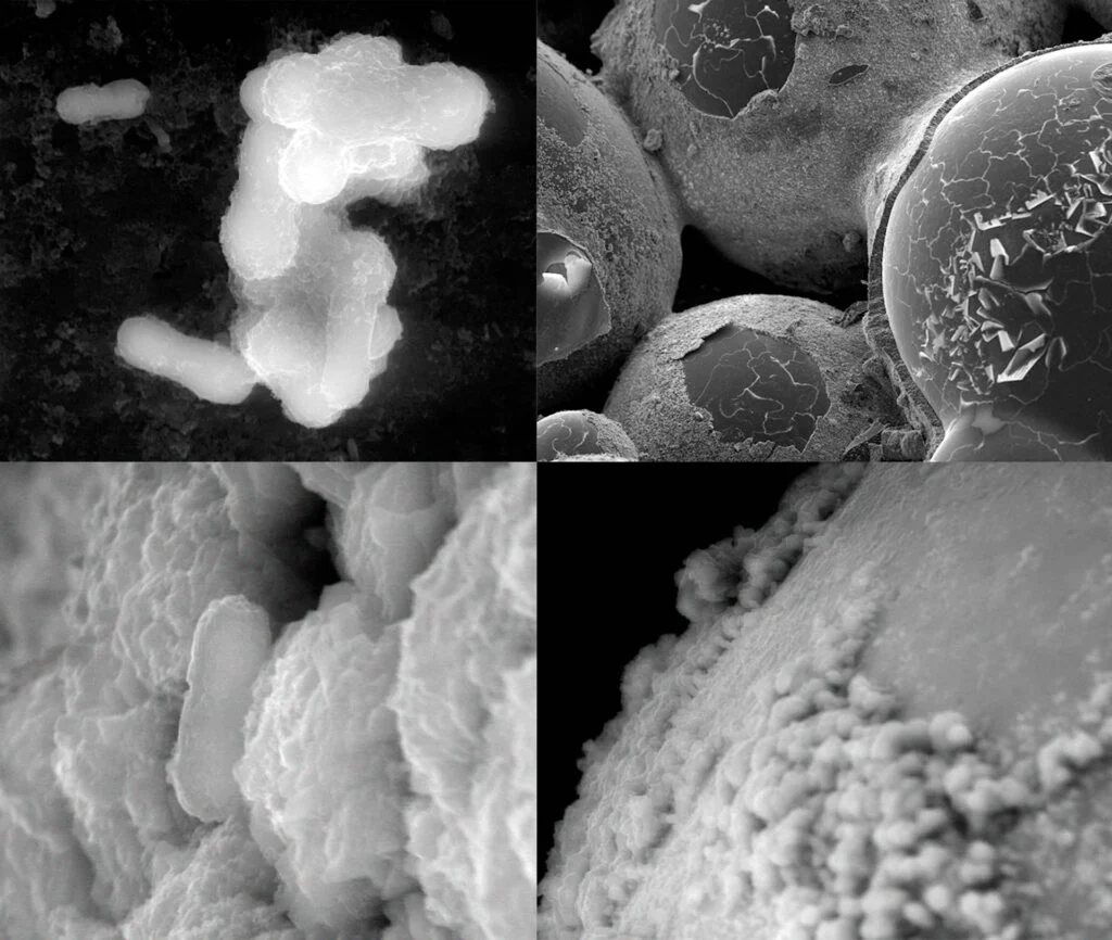 Biomason: Revolutionizing the Future of Concrete - Biomason